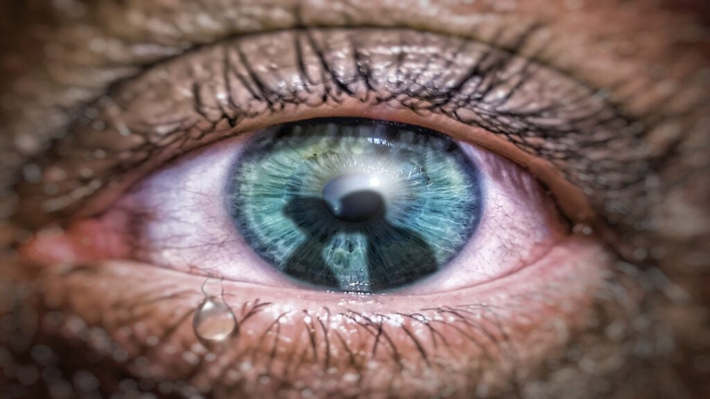 Am I Weird? Quiz - PersonalityFeed